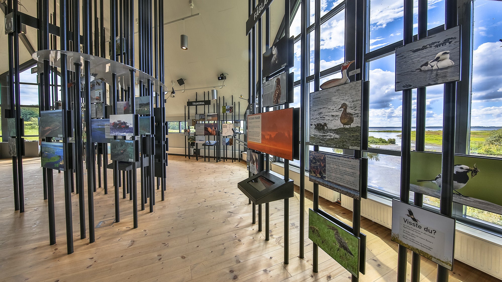 Exhibition setup - MAX3 SRL